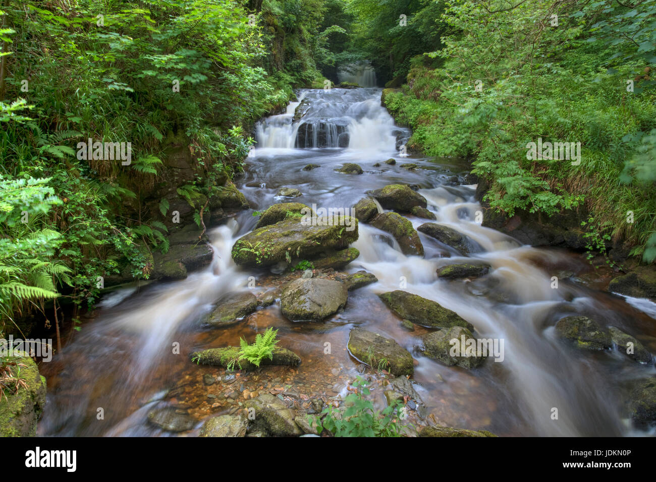 Watersmeet, Exmoor, Lynmouth, Devon, England, UK Stock Photo - Alamy