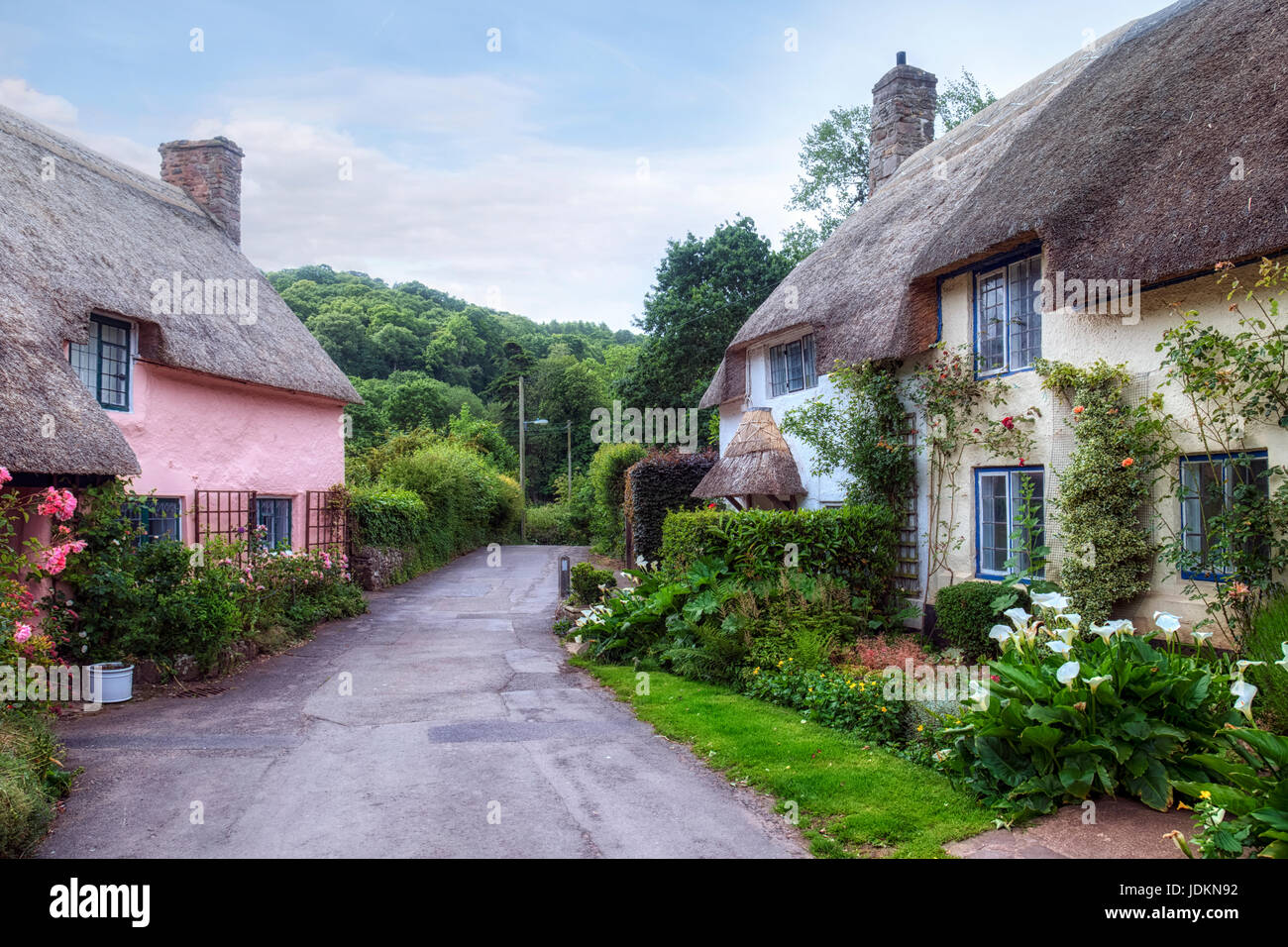 Dunster castle hi-res stock photography and images - Alamy