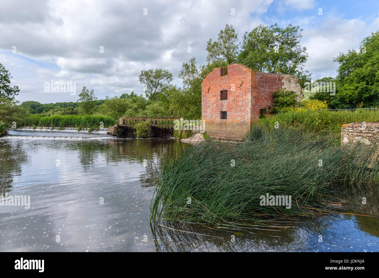 Cut Mill, Sturminster Newton, Dorset, England, UK Stock Photo - Alamy
