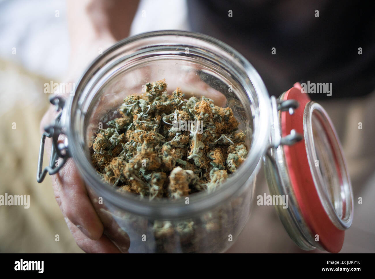 Nieder-Roden, Germany. 29th May, 2017. Frank-Josef Ackerman shows a ...