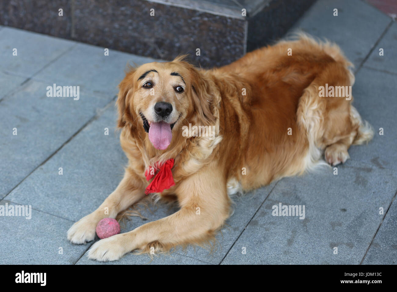 Painted Eyebrows High Resolution Stock Photography and Images - Alamy
