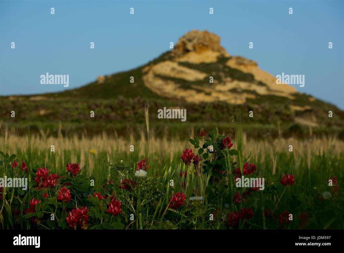 Maltese scenery hi-res stock photography and images - Alamy