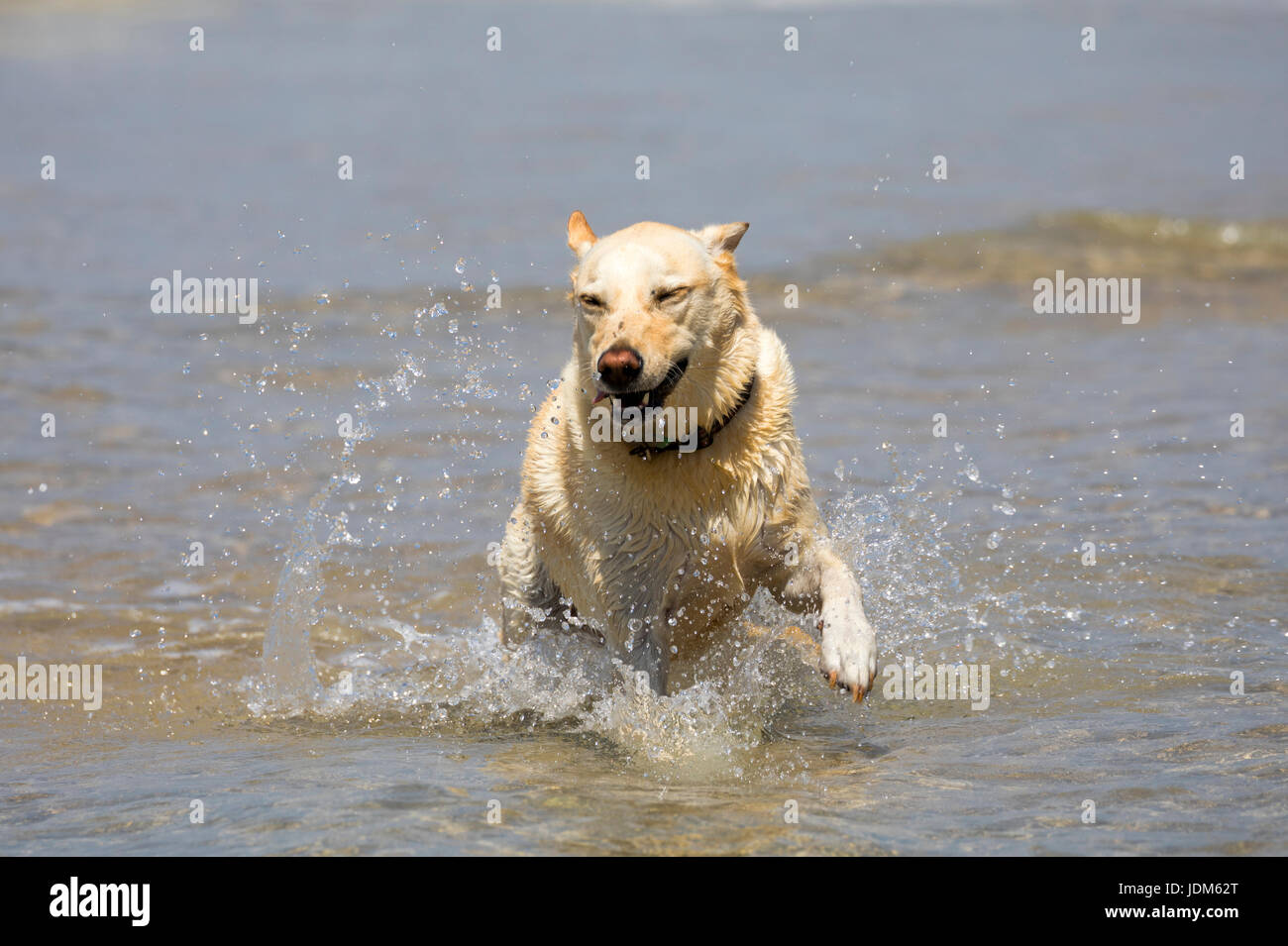 1976 england heat wave hi-res stock photography and images - Alamy