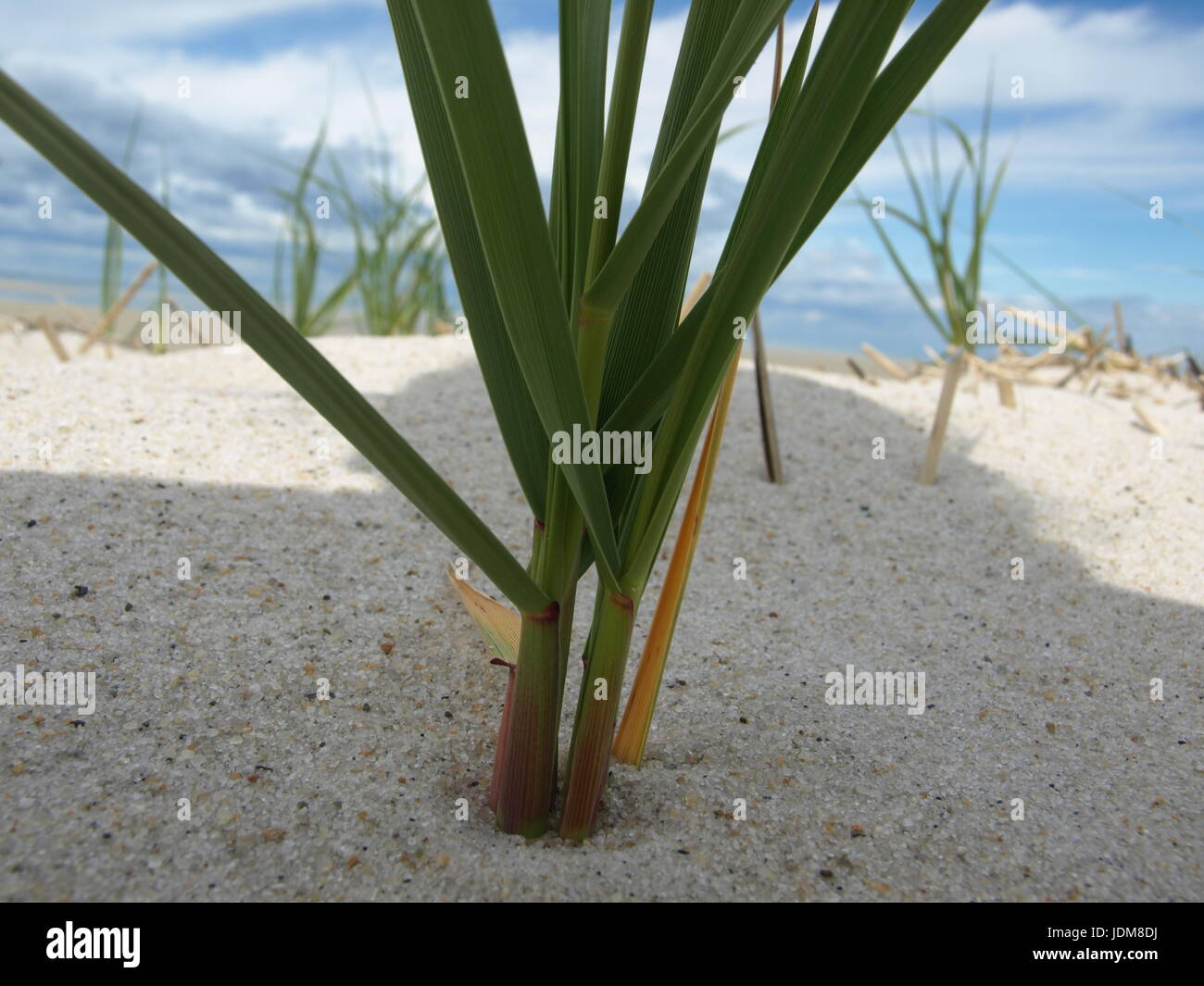Depth effect hi-res stock photography and images - Alamy