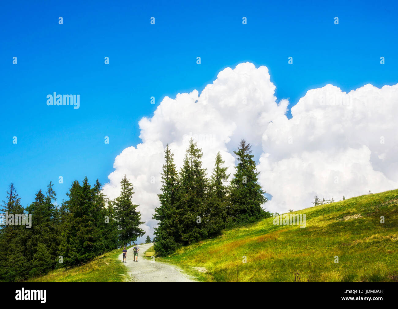 Summer hiking experience in Scheffau am Wilden Kaiser, Tirol, Austria ...