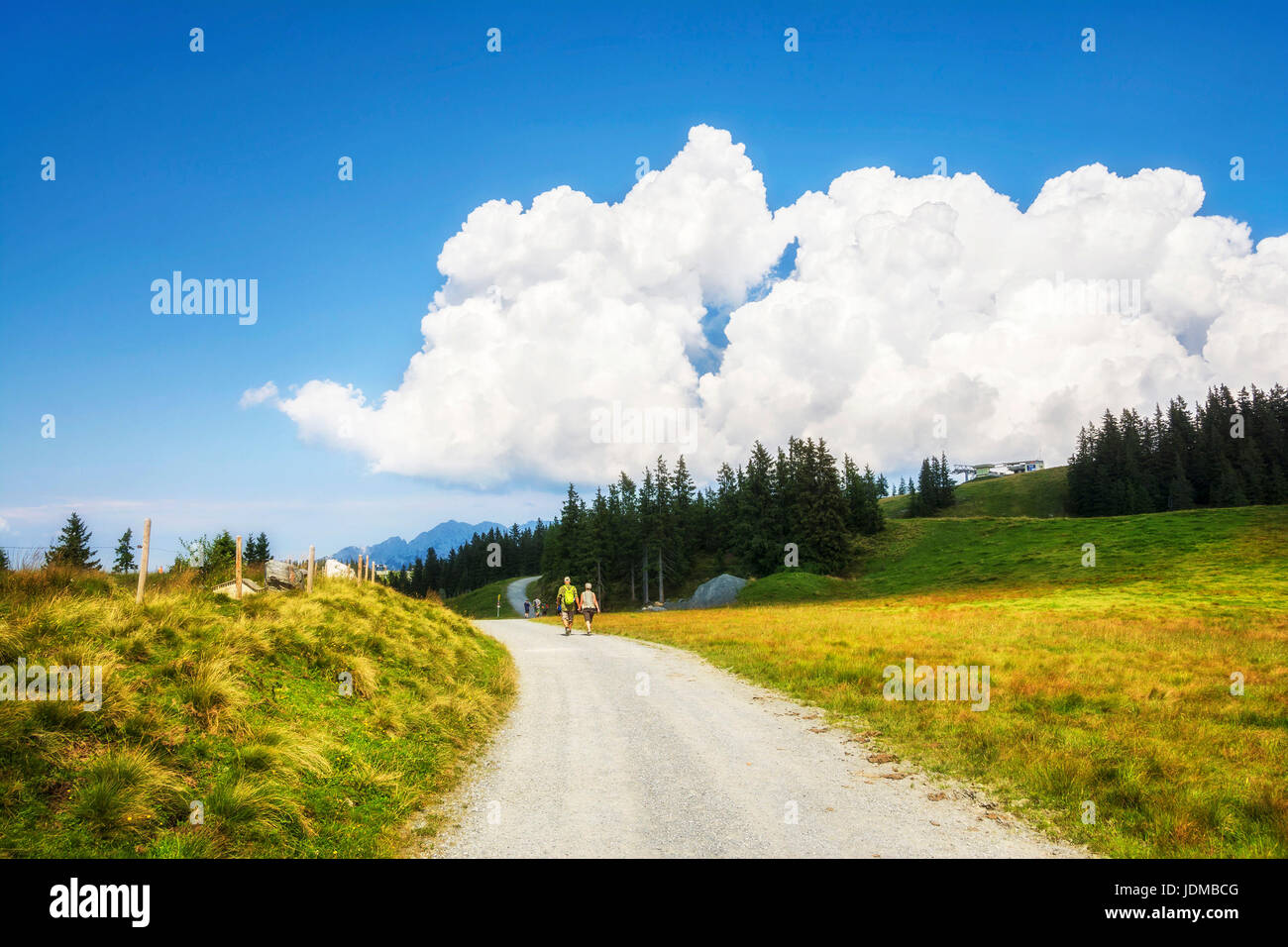 Summer hiking experience in Scheffau am Wilden Kaiser, Tirol, Austria ...