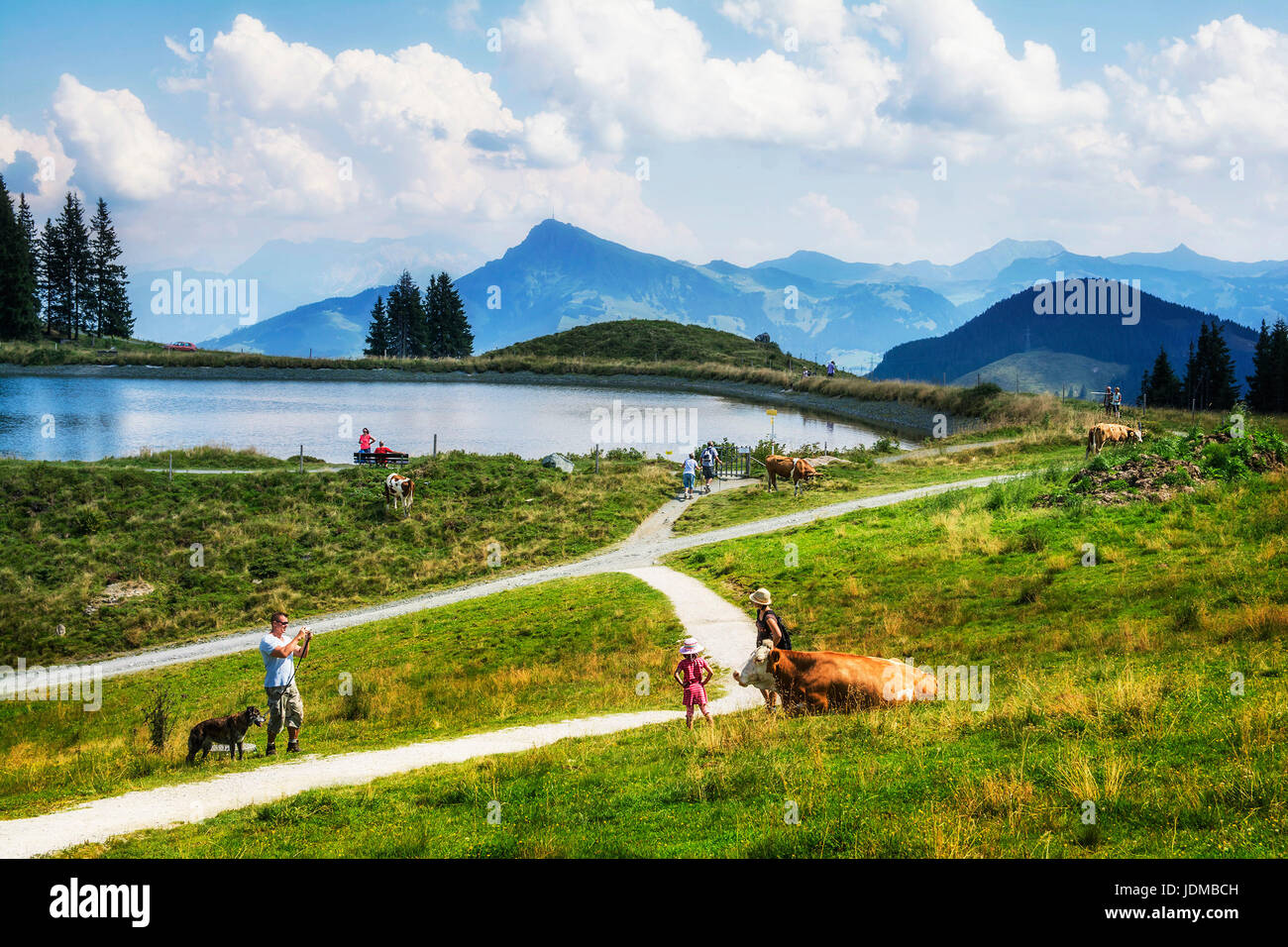 Summer hiking experience in Scheffau am Wilden Kaiser, Tirol, Austria ...