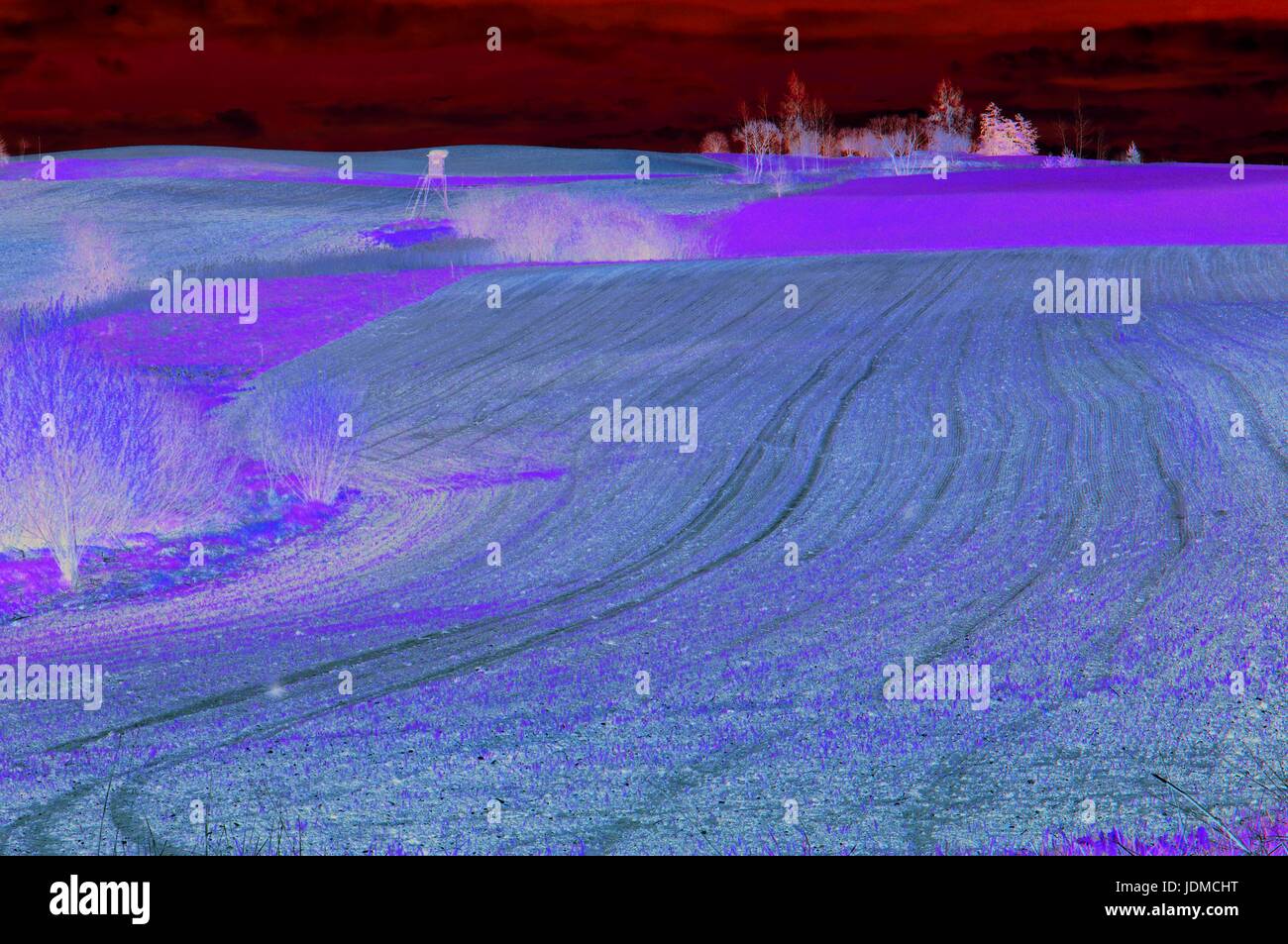 landscape, plowed field in the spring for crops cultivation and ...