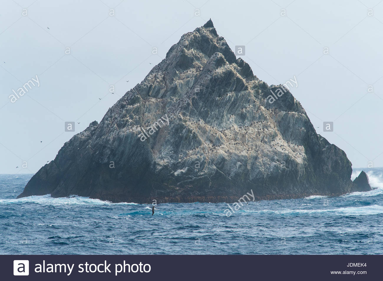 Shag Rocks Stock Photos & Shag Rocks Stock Images - Alamy