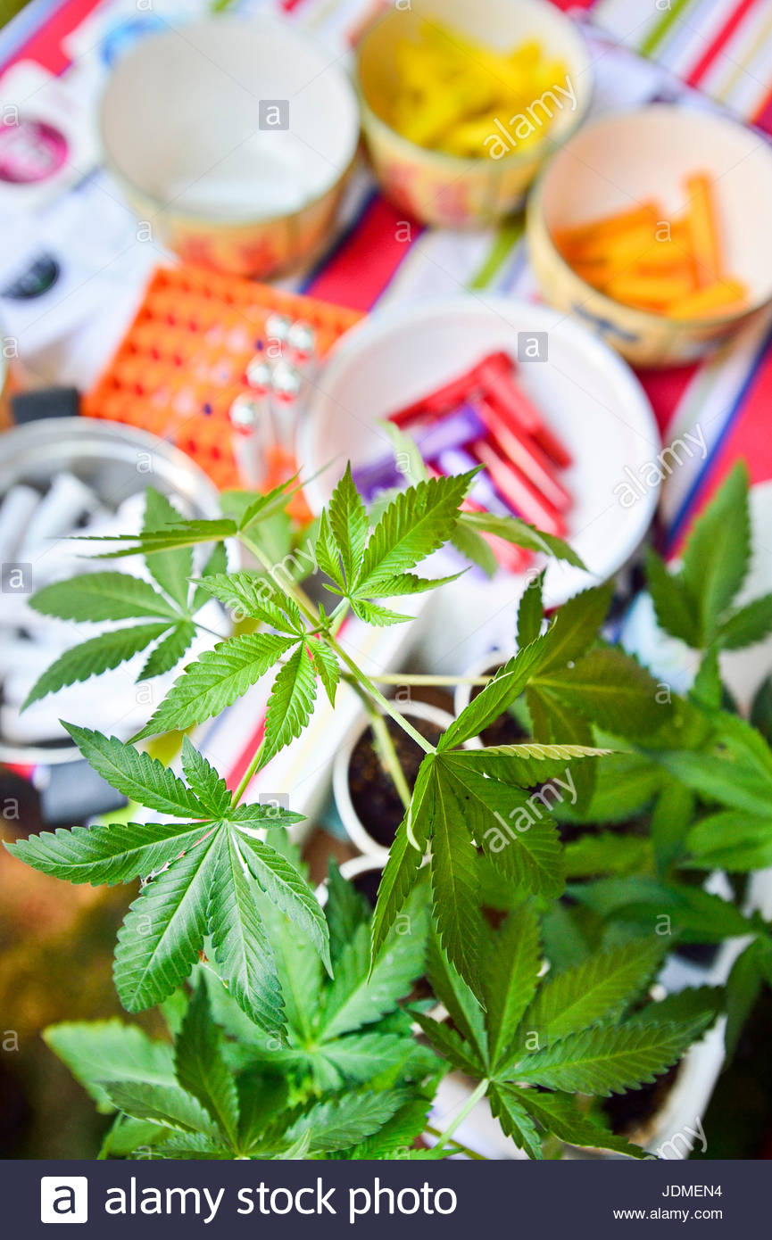 Full Image Of Table High Resolution Stock Photography and Images - Alamy