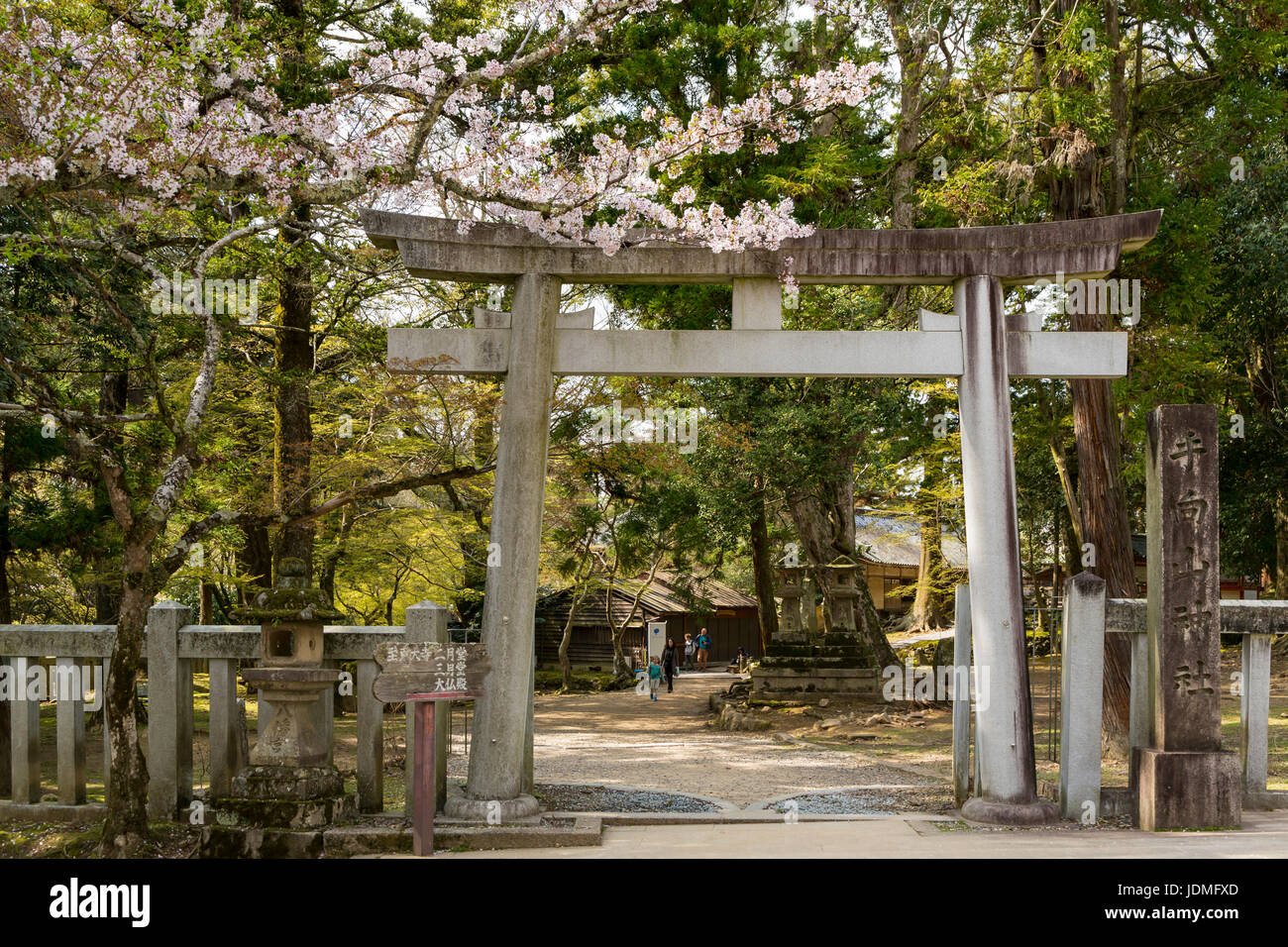A torii gate in Nara Park, Nara, Nara Prefecture, Honshu Island, Japan ...