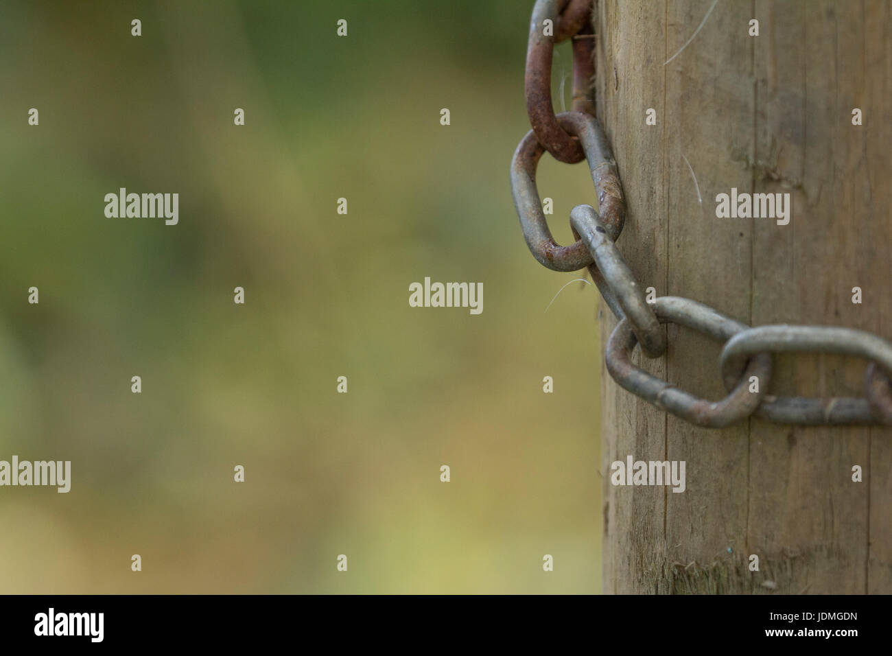 A metal chain around a wooden post with copy space Stock Photo - Alamy