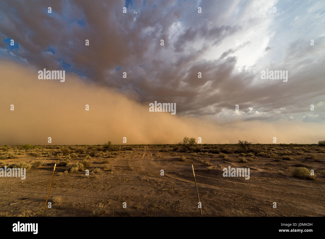 Dust storm approaching Phoenix, Arizona during the summer monsoon Stock ...