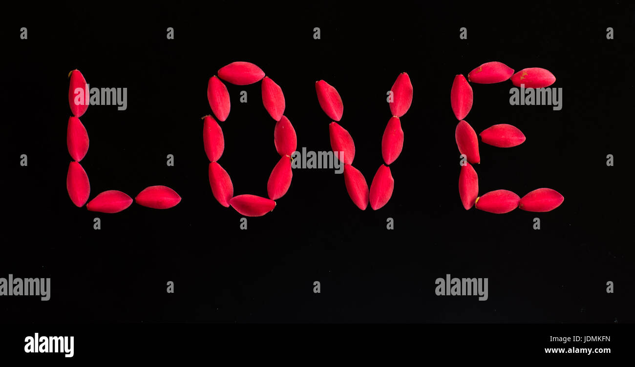 Word one spelled letters hi-res stock photography and images - Alamy