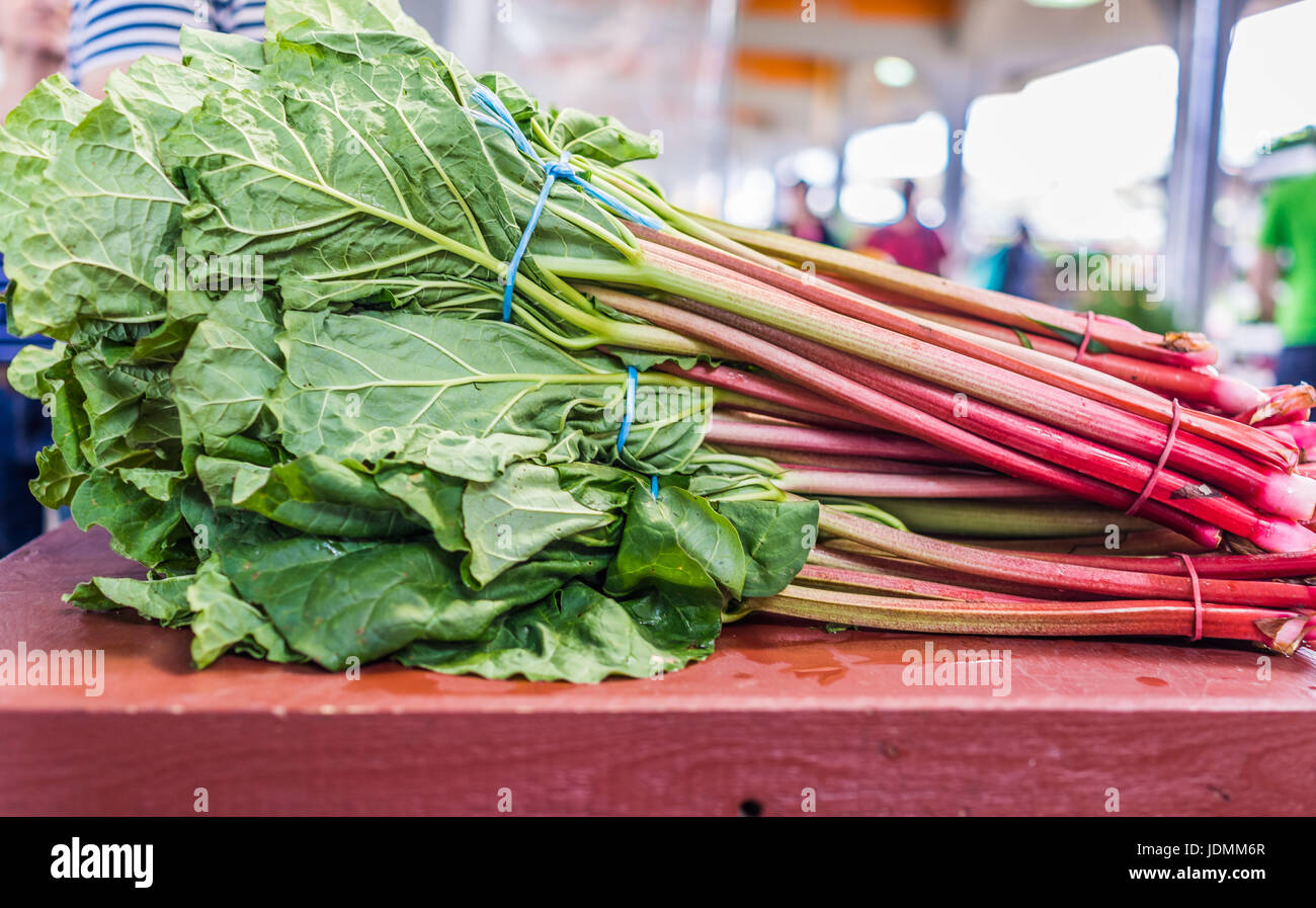 Red rhubarb swiss chard hi-res stock photography and images - Alamy