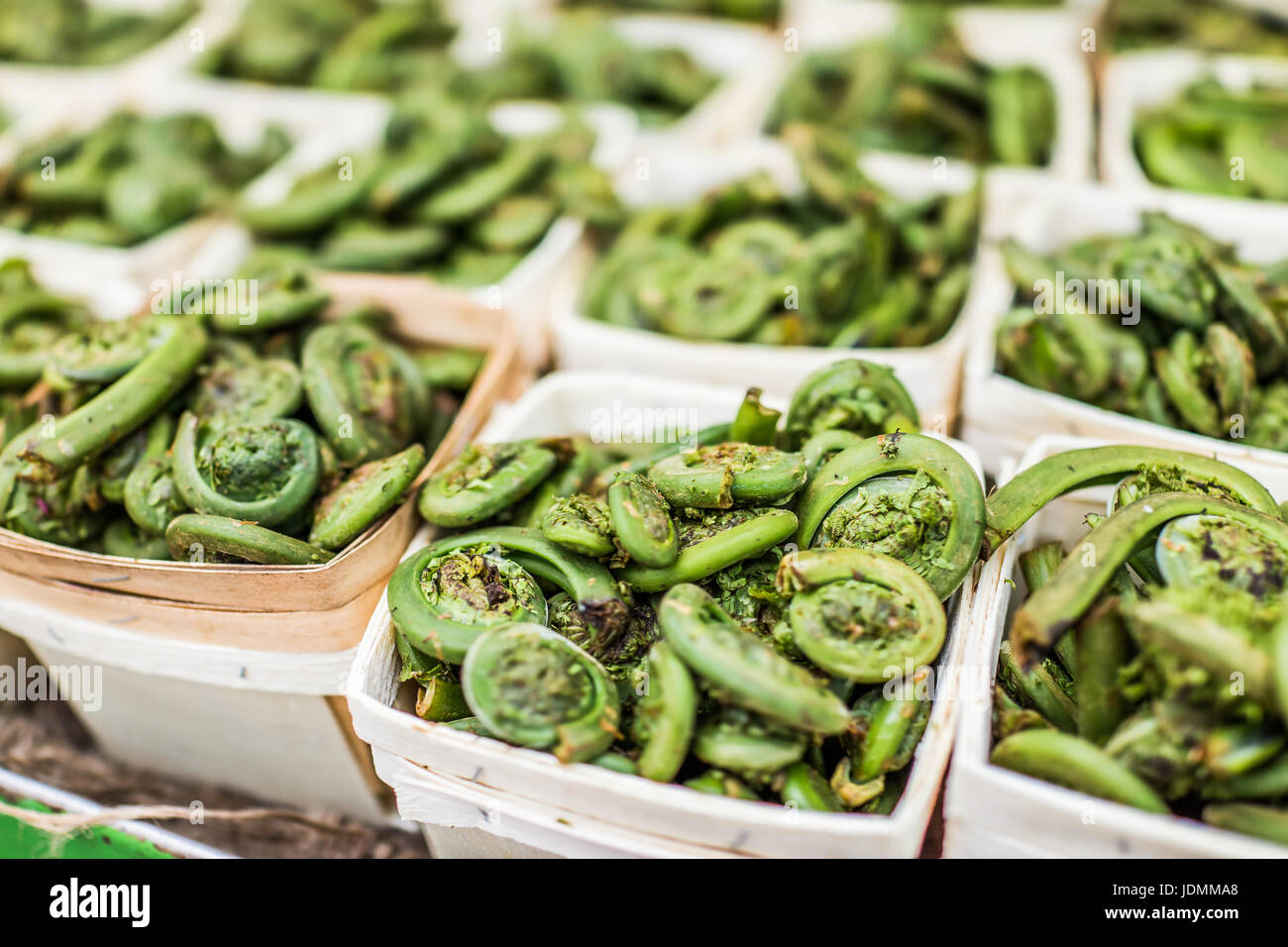 Edible ferns hi-res stock photography and images - Alamy