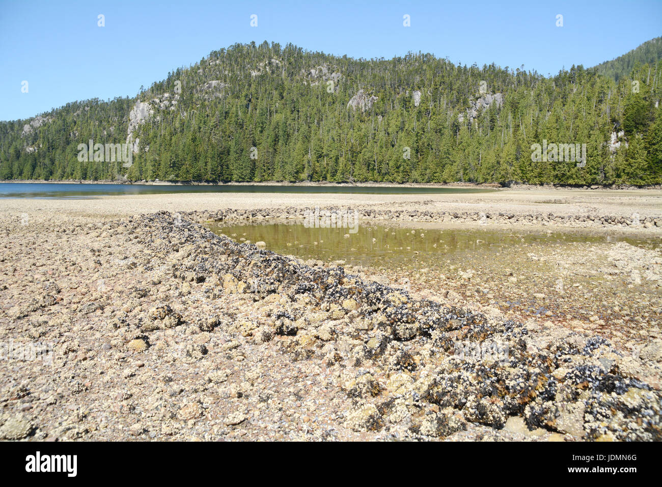 Fishing weir indigenous hi-res stock photography and images - Alamy