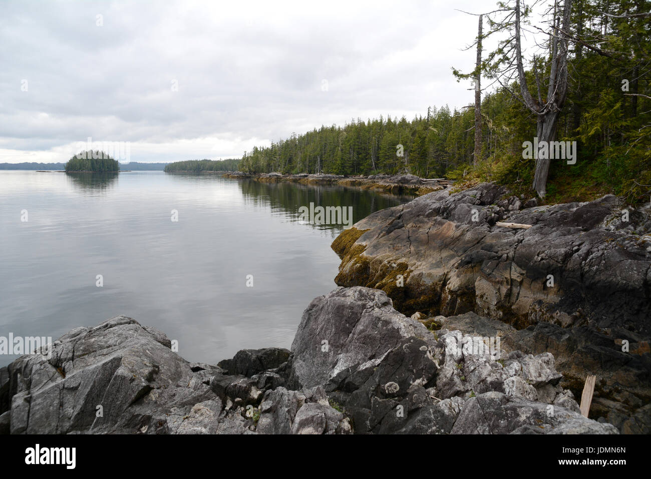 The rocky, tree-lined Pacific shores of Spiller Channel in low-tide, in ...