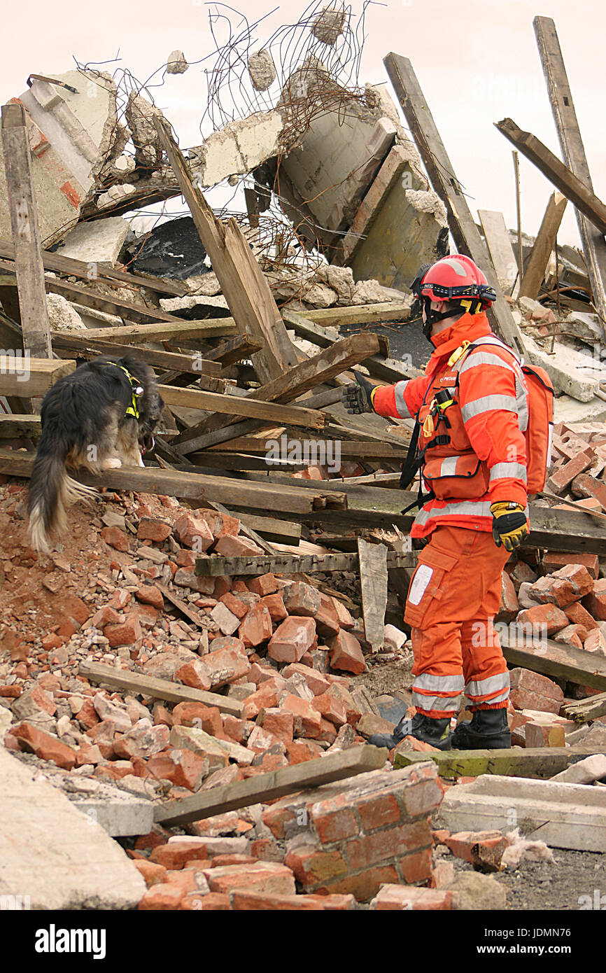 urban search and rescue dog handler, USAR Stock Photo - Alamy