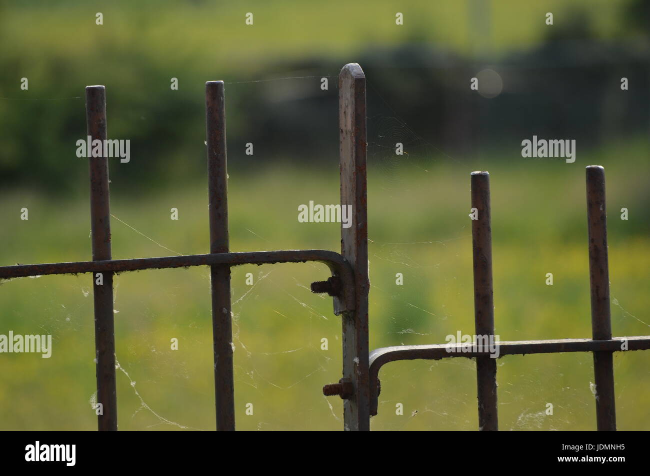 Man made vs nature hi-res stock photography and images - Alamy