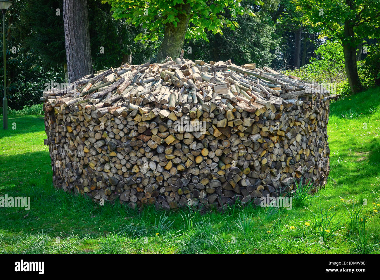 Round stack of wooden logs in forest Stock Photo - Alamy