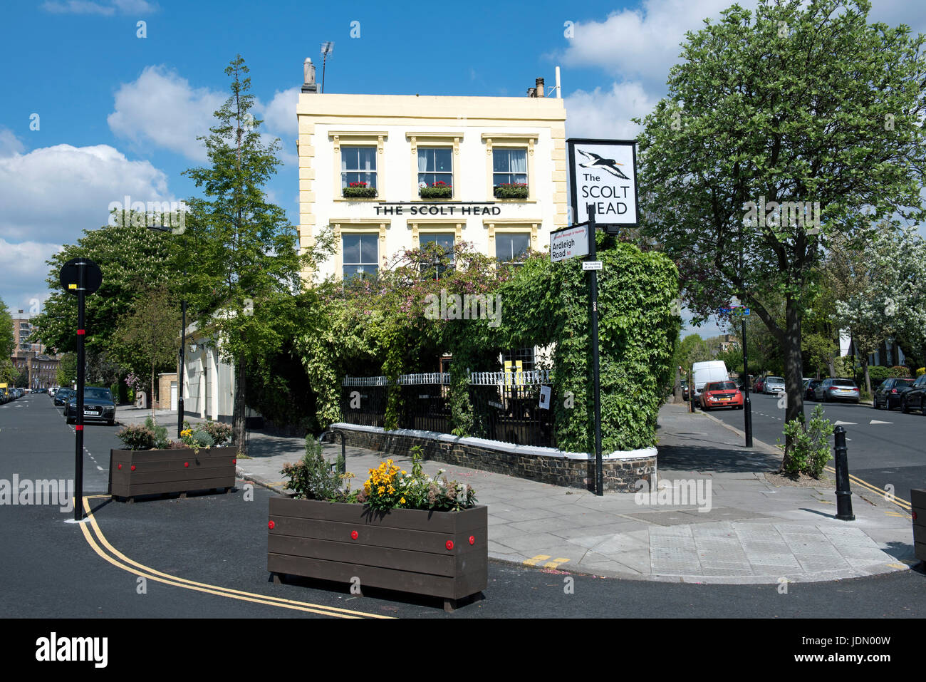 The scolts head hi-res stock photography and images - Alamy
