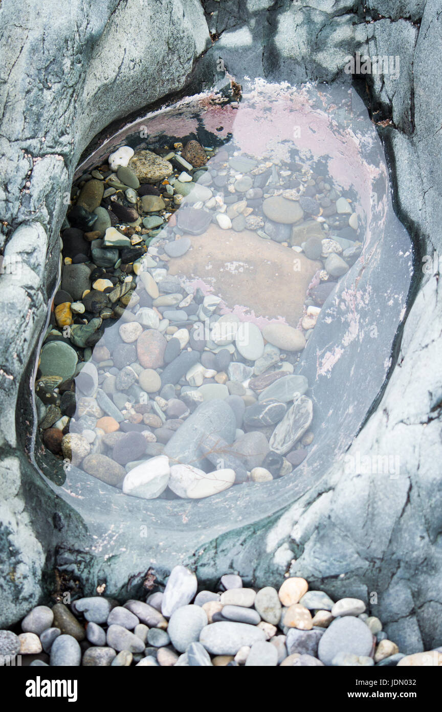 Rock pool with selection of pebbles Stock Photo - Alamy