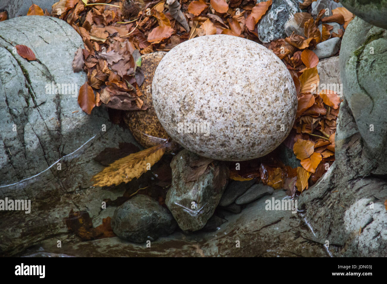 Leaves on boulder hi-res stock photography and images - Alamy