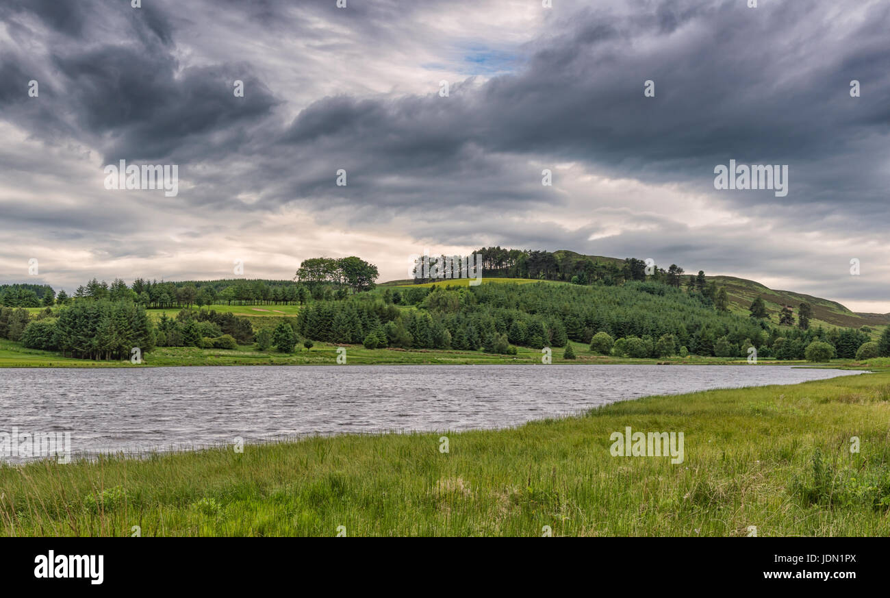 Piperdam hi-res stock photography and images - Alamy