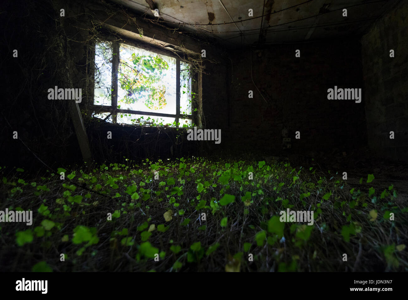 Pants building hi-res stock photography and images - Alamy