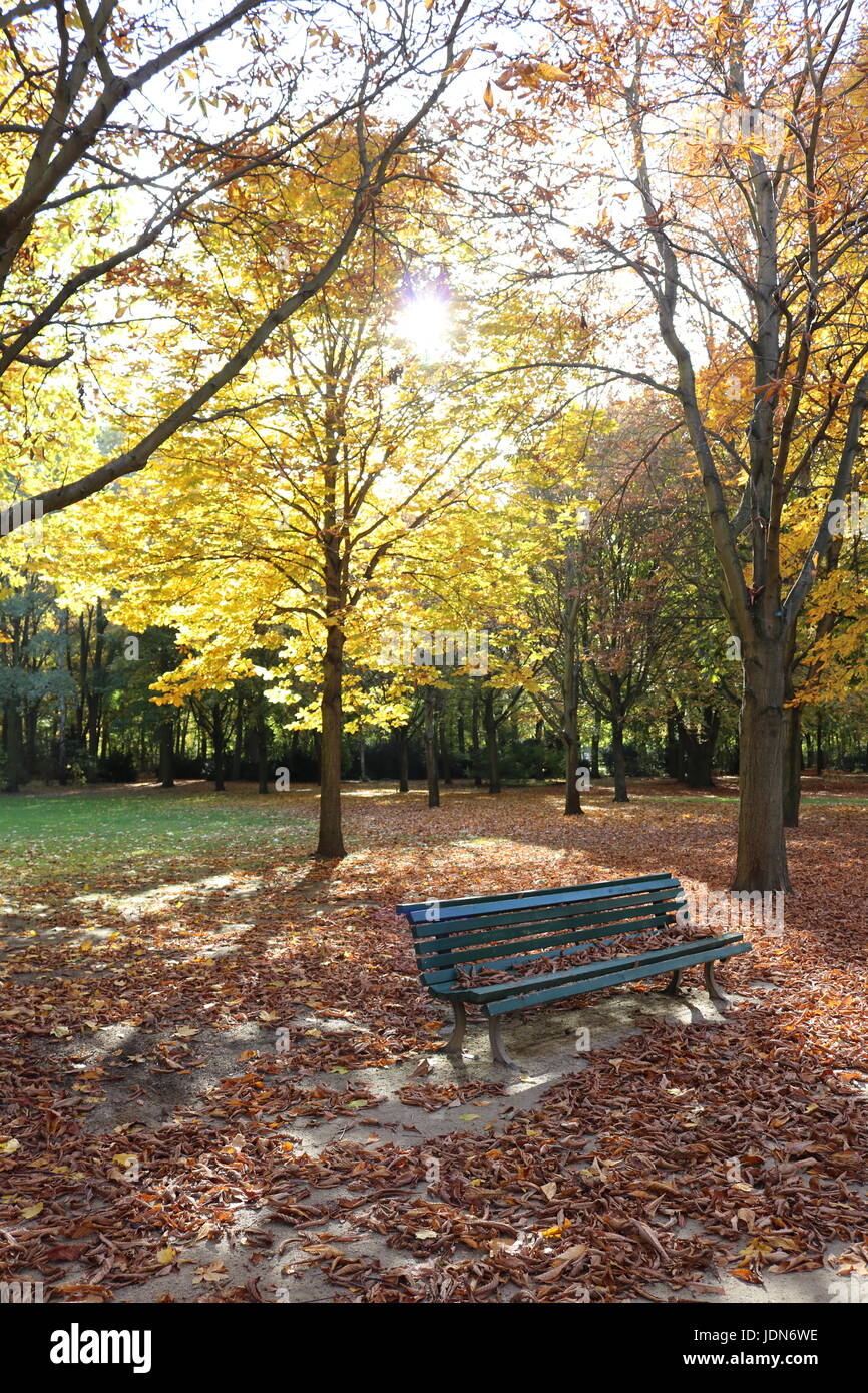Empty bench sunlight hi-res stock photography and images - Alamy
