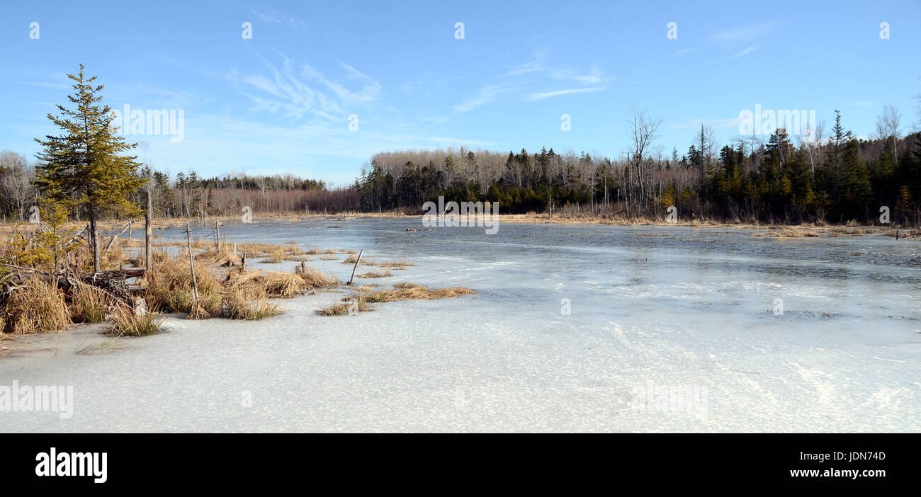 Lake in Nova Scotia, Canada Stock Photo - Alamy