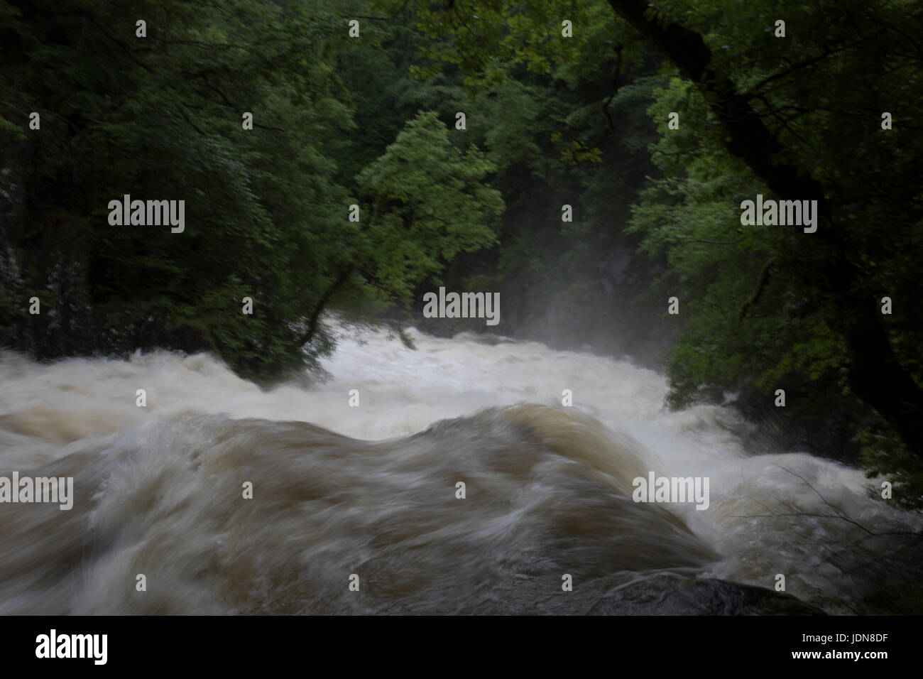 Swallow Falls in Snowdonia after heavy rain Stock Photo - Alamy