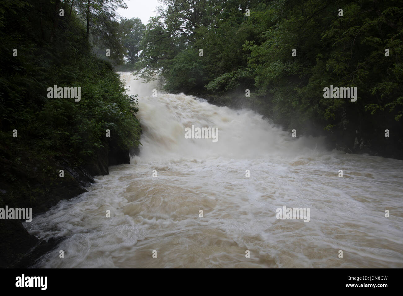 Swallow Falls in Snowdonia after heavy rain Stock Photo - Alamy