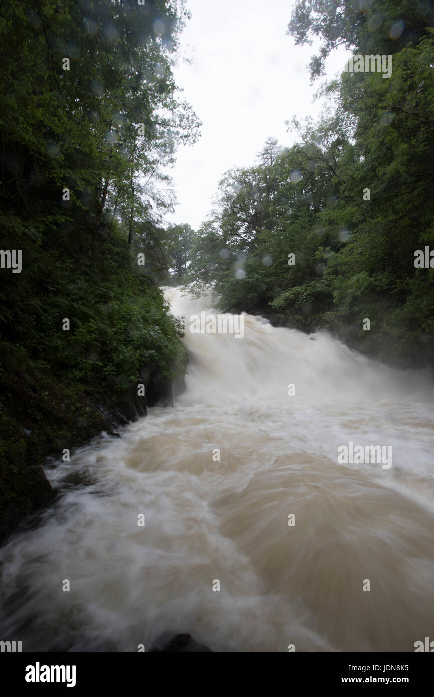 Swallow Falls in Snowdonia after heavy rain Stock Photo - Alamy
