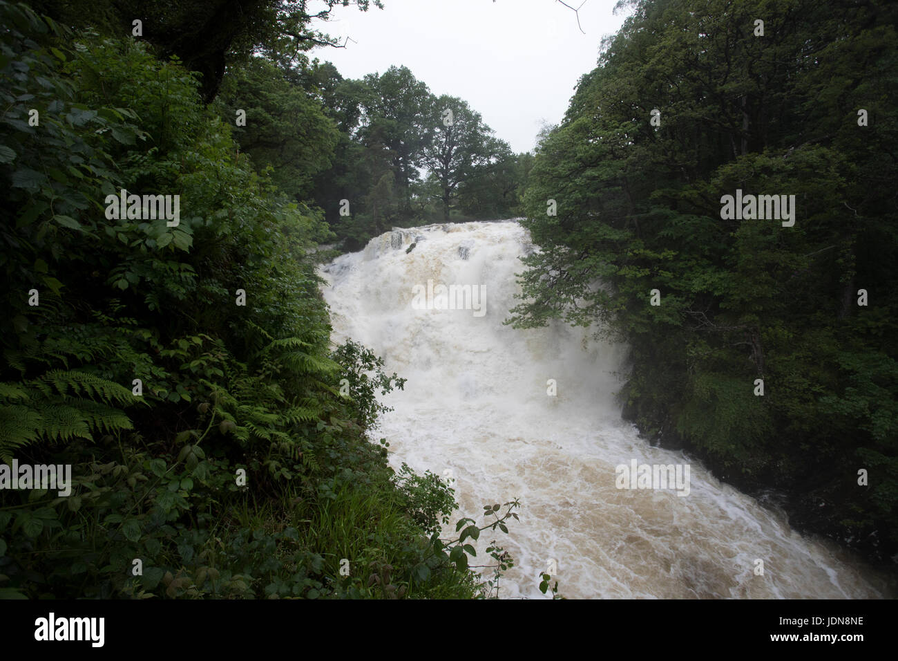 Swallow Falls in Snowdonia after heavy rain Stock Photo - Alamy
