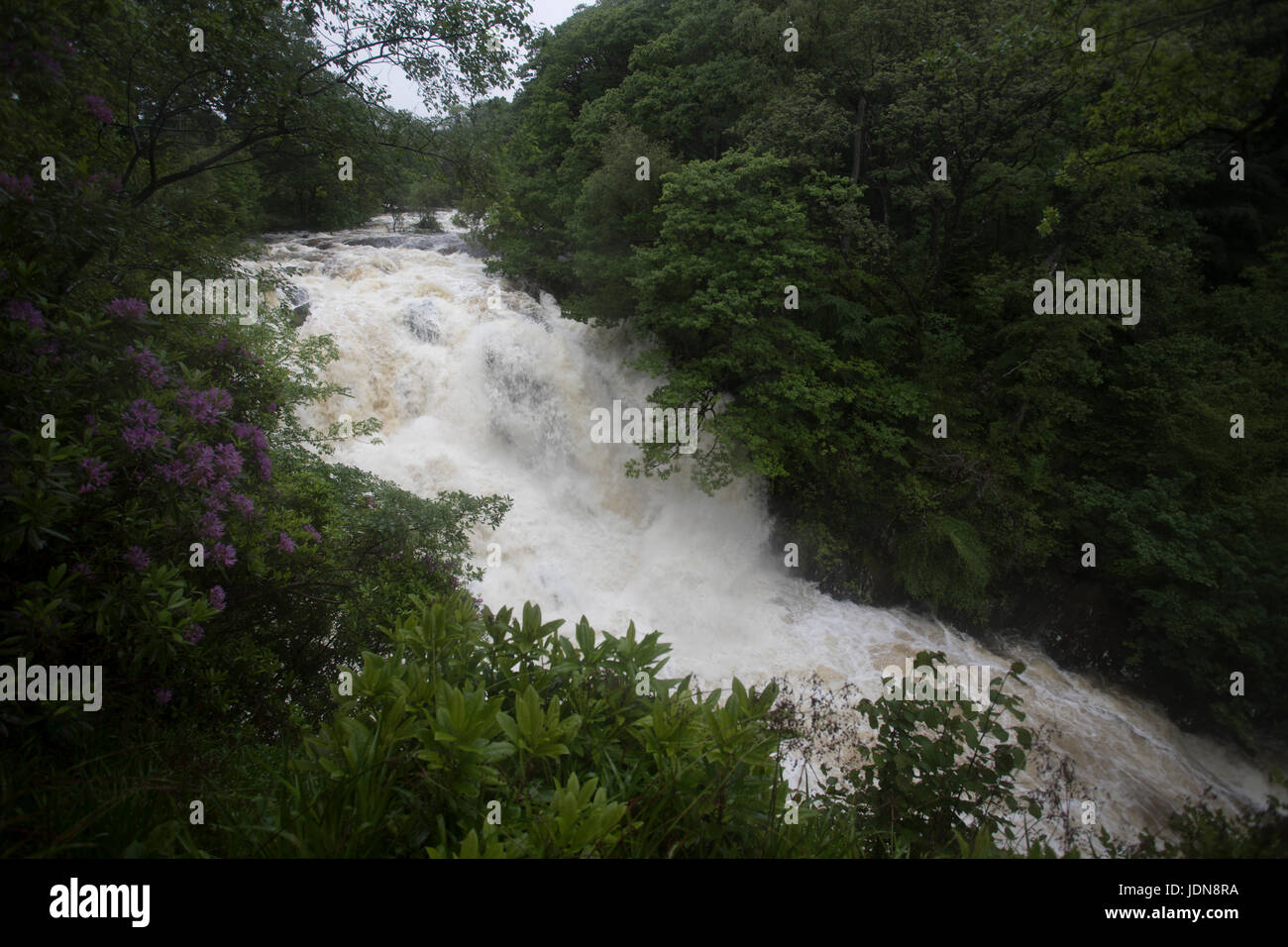 Swallow Falls in Snowdonia after heavy rain Stock Photo - Alamy