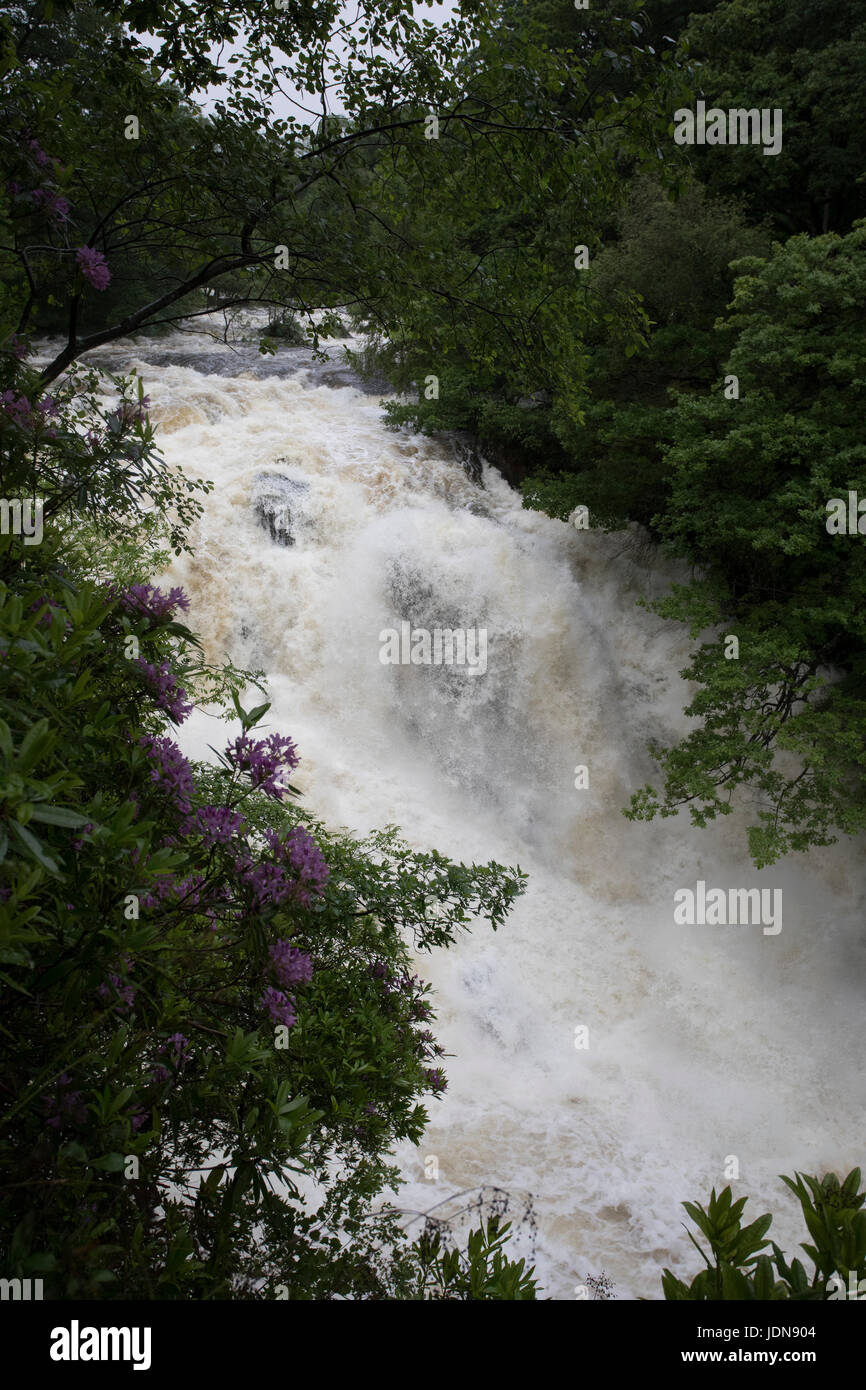 Swallow Falls in Snowdonia after heavy rain Stock Photo - Alamy