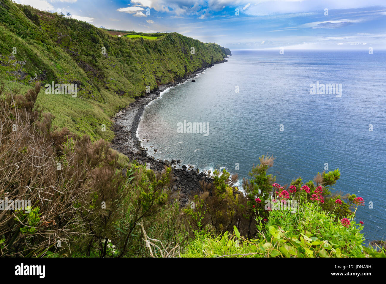 Coast and cliffs near Nordeste on the island of Sao Miguel. Sao Miguel ...