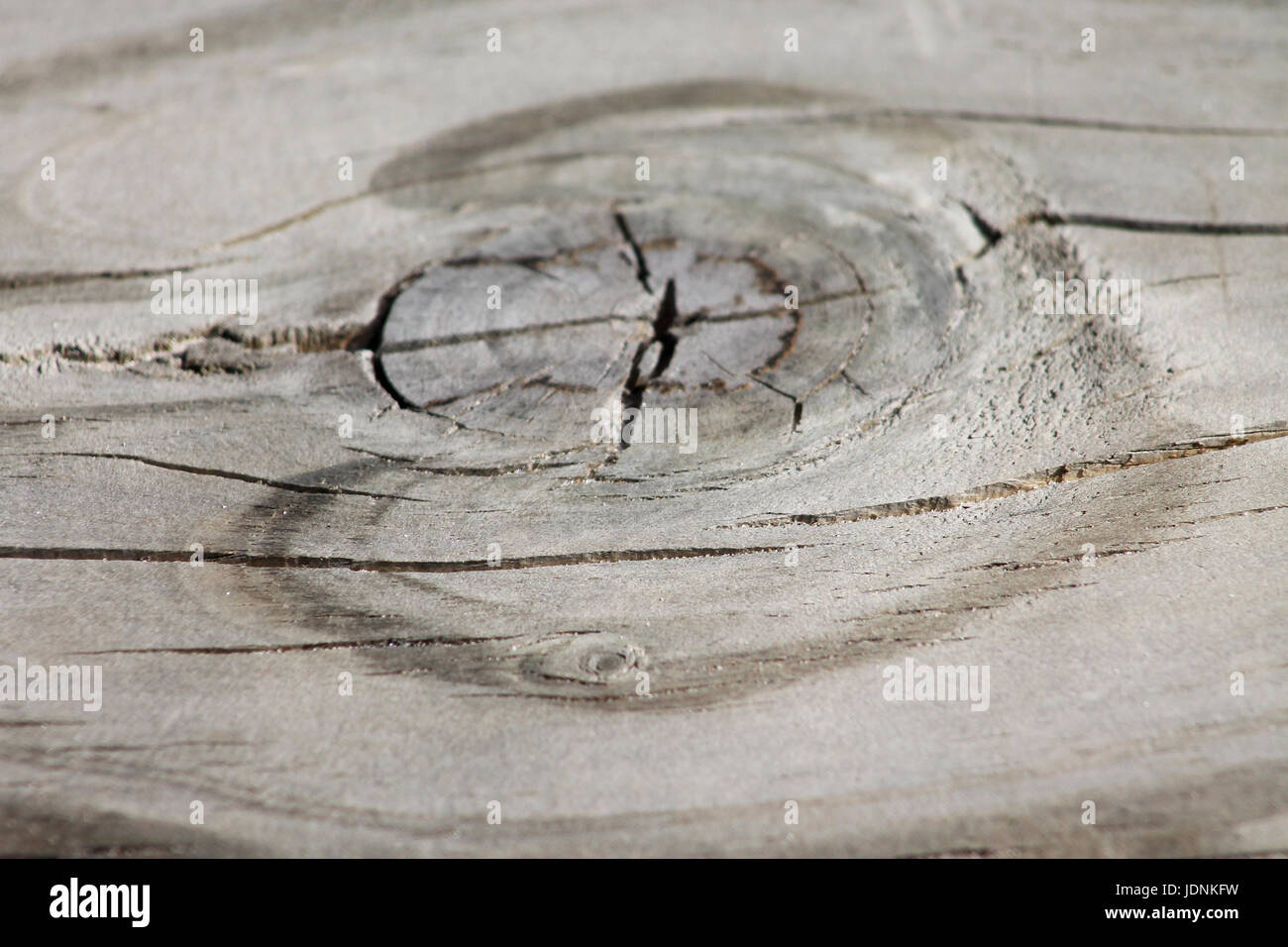 Scars on wood Stock Photo - Alamy