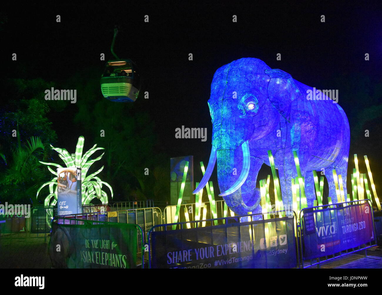 Sydney, Australia - Jun 16, 2017. Asian Elephant. Giant multimedia ...