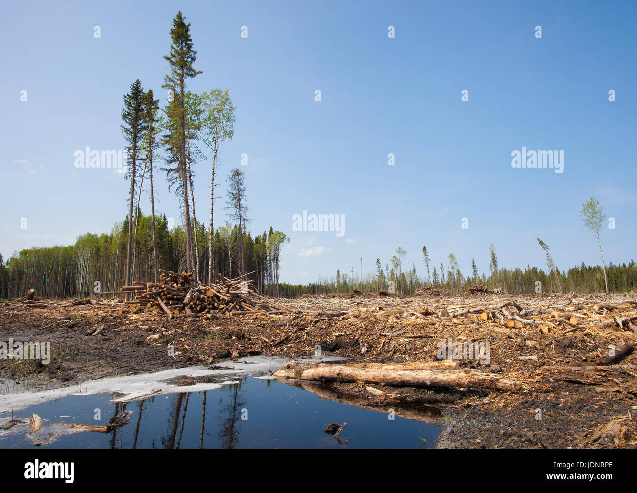 Logging In Saskatchewan High Resolution Stock Photography and Images ...