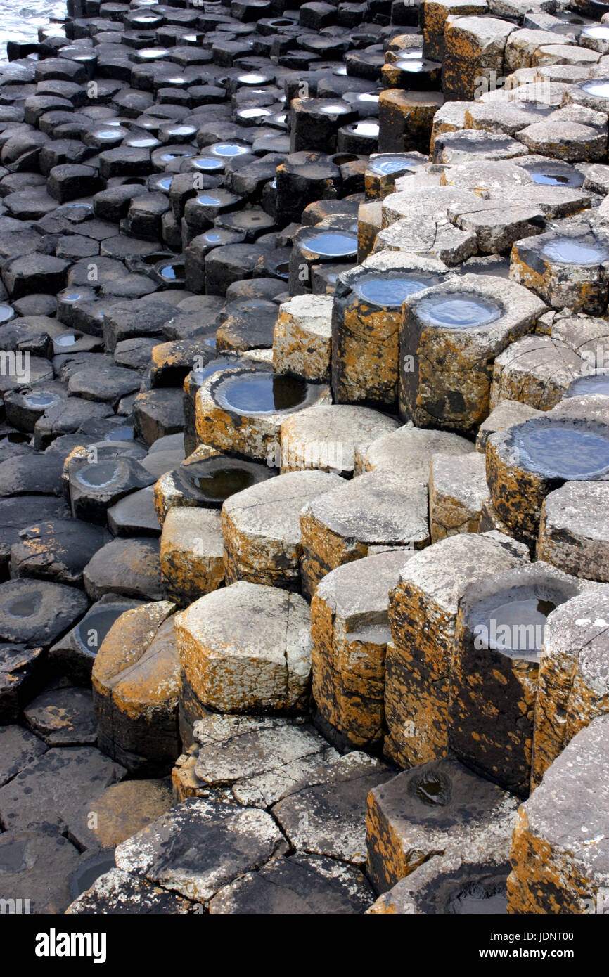 The Basalt columns at the Giants Causeway Stock Photo - Alamy