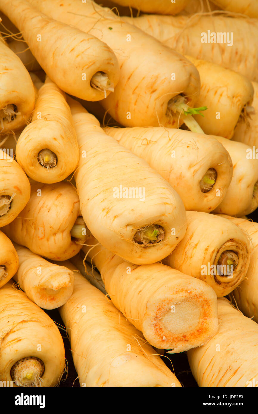 Napiform root hi-res stock photography and images - Alamy