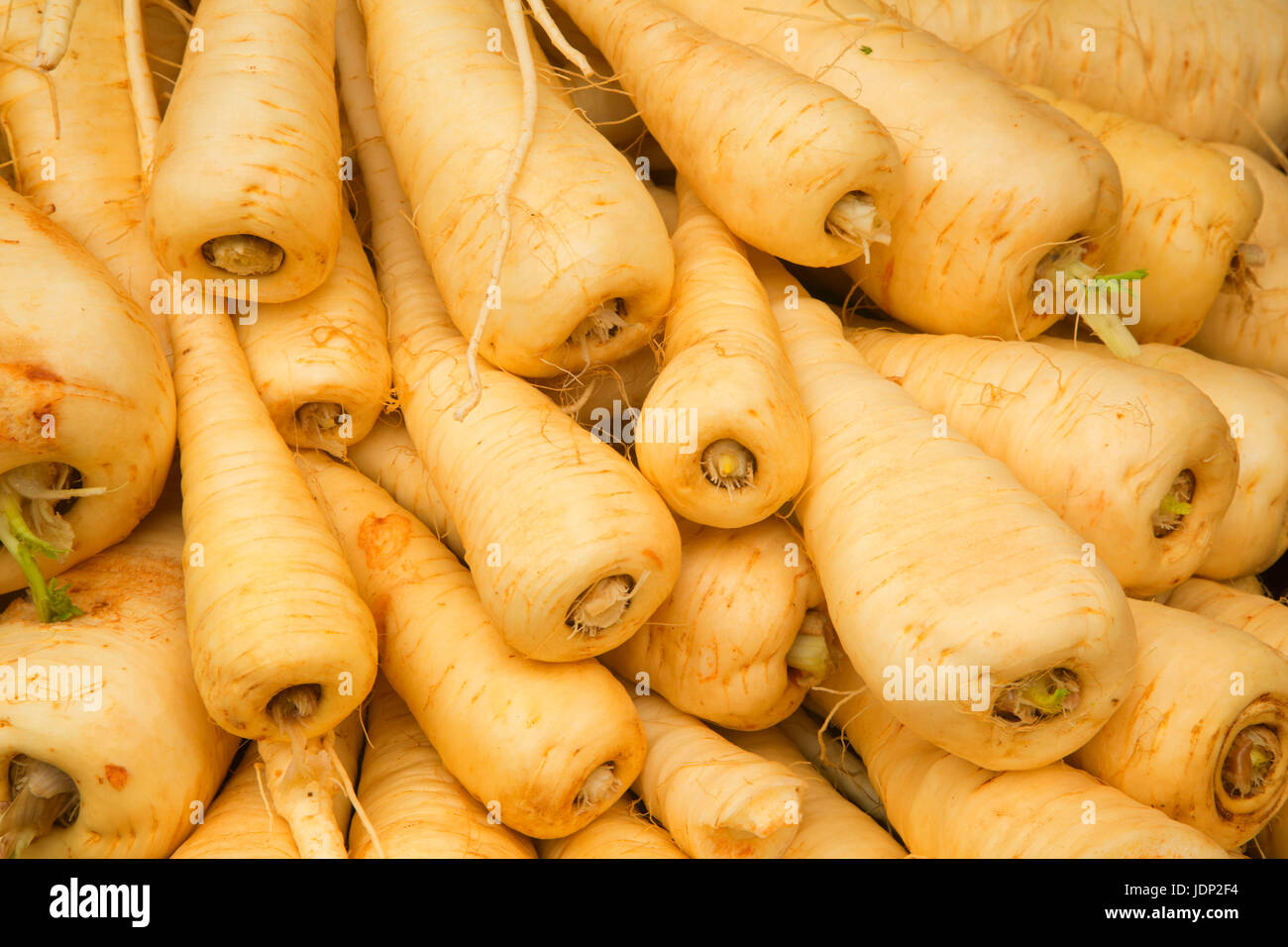 Napiform root hi-res stock photography and images - Alamy