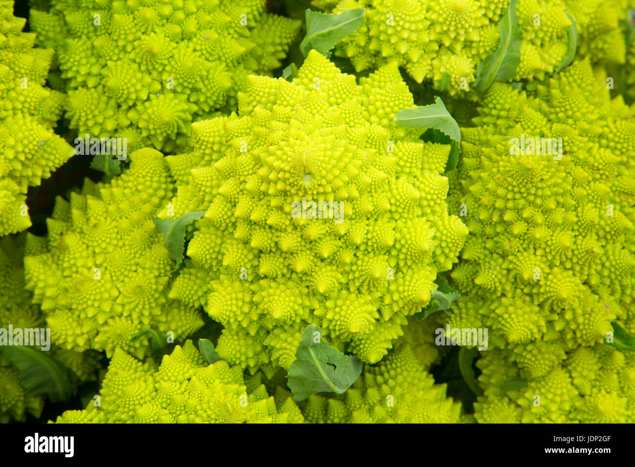Romanesco market hi-res stock photography and images - Alamy