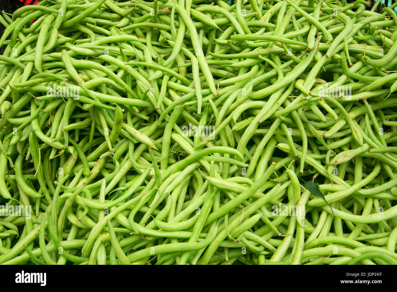 Snap beans hi-res stock photography and images - Alamy
