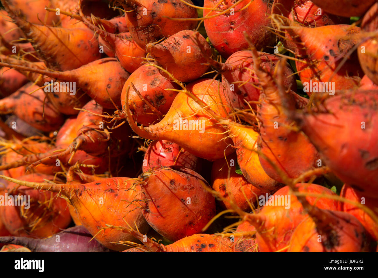 Golden beets hi-res stock photography and images - Alamy