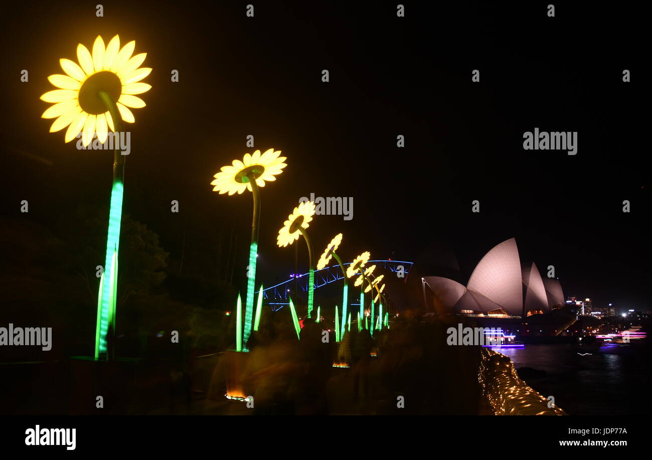 Sydney, Australia - Jun 15, 2017. "Sunflowers" installation in the ...