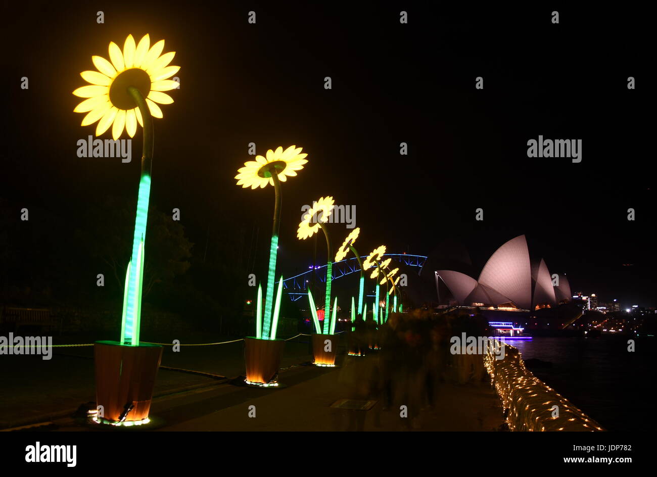 Sydney, Australia - Jun 15, 2017. "Sunflowers" installation in the ...